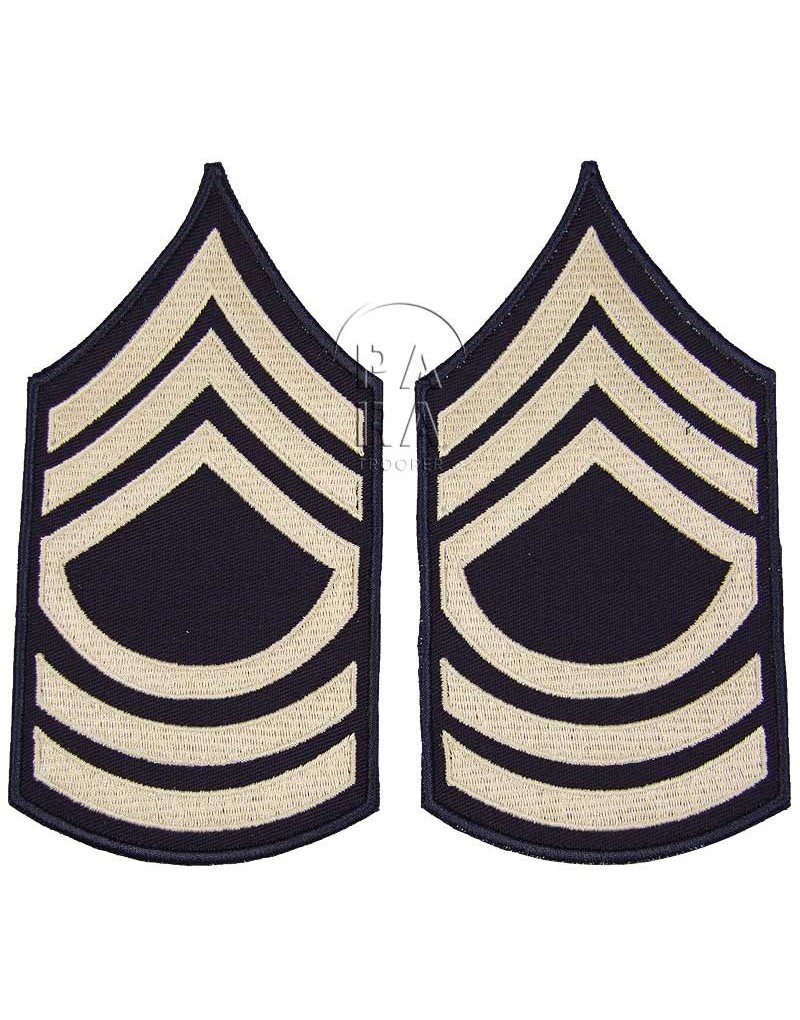 Rank, Insignia, Master Sergeant - Paratrooper