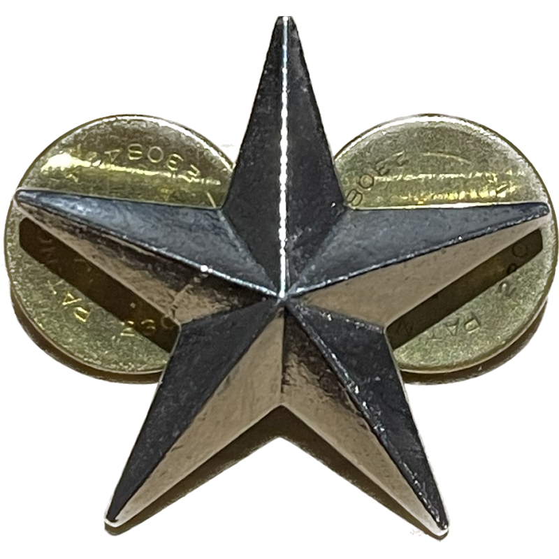 INSIGNIA AND DECORATIONS (2)