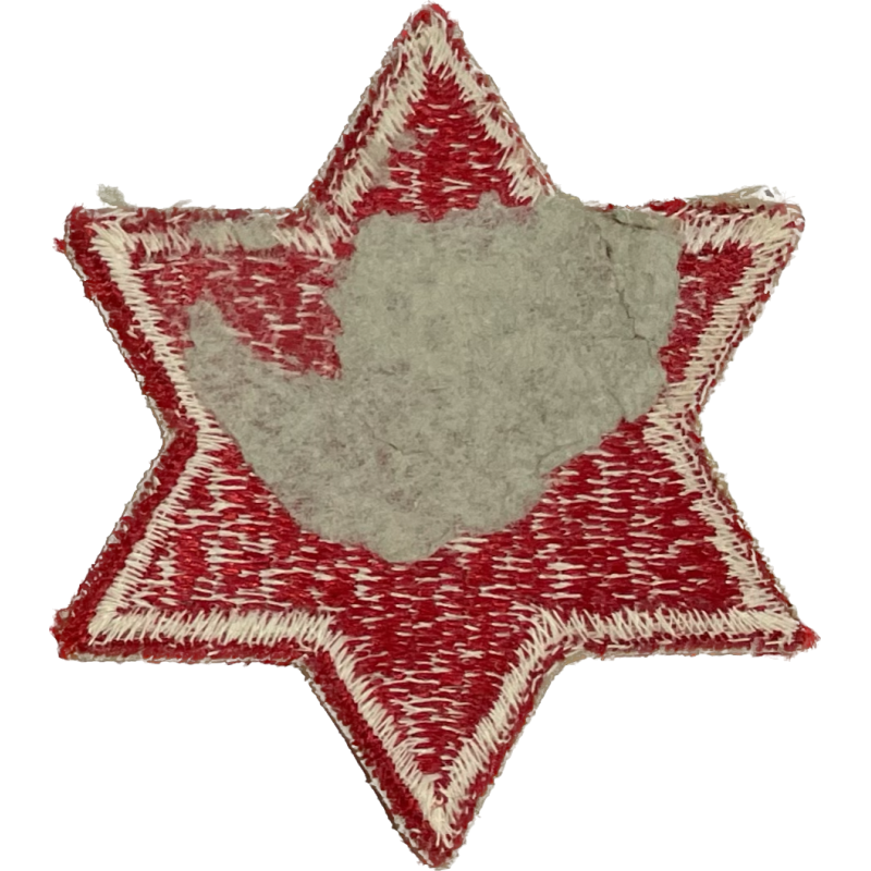 Patch, 6th Infantry Division