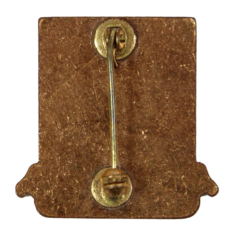 Crest, 28th Transportation Battalion, à épingle, Salerno, Dragoon