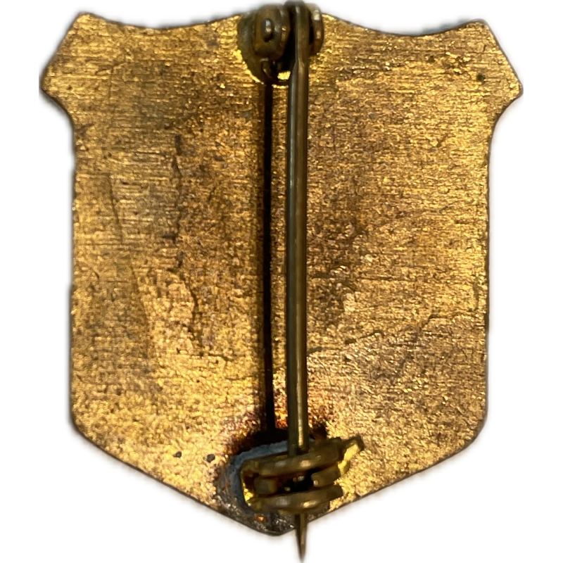 Crest, DUI, 99th Infantry Division, PB