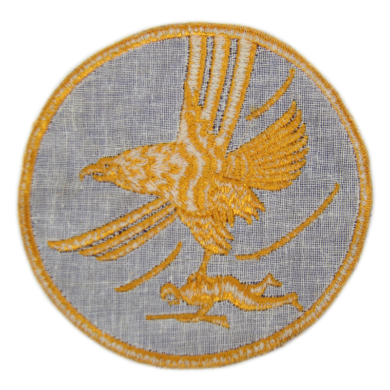 Insigne, 1st Troop Carrier Command