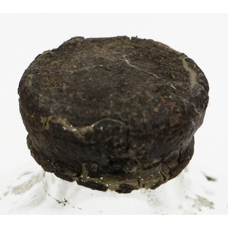 Flacon, sang et plasma, perfusion, 250 cc, US Army Medical Department ...