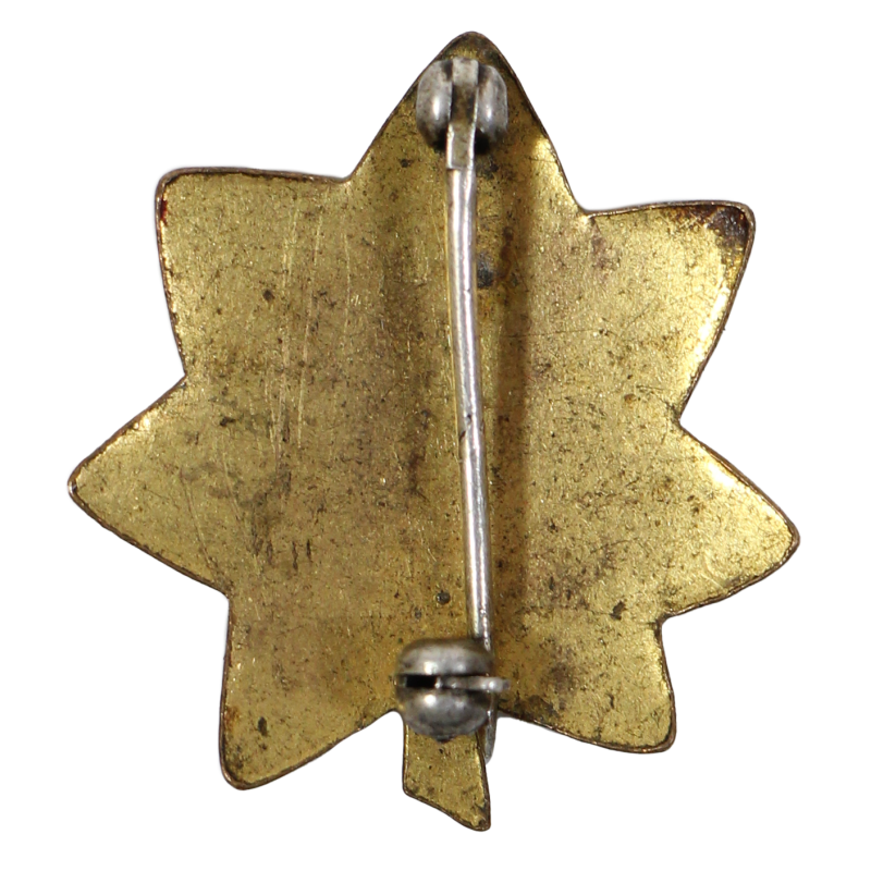 Insignia, Rank, Major, Pin Back