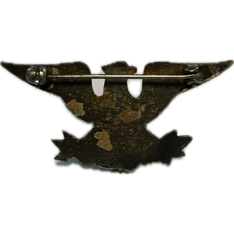 Insignia, Rank, Colonel, Pin Back