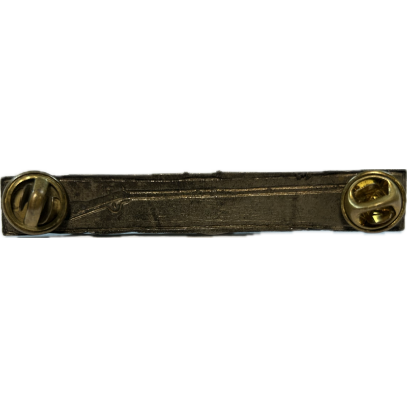 Insigne, Expert Infantryman Badge