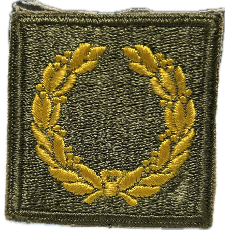 Insignia, Meritorious Unit Citation
