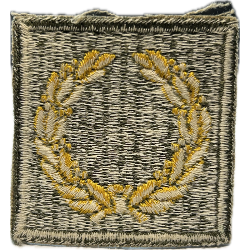 Insigne, Meritorious Unit Citation