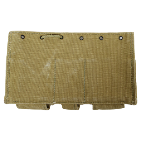 Insert, Medical, Type I